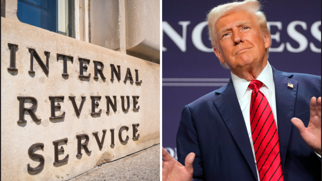 IRS prepares to fire up to half its 90,000 staff: report - Newswize