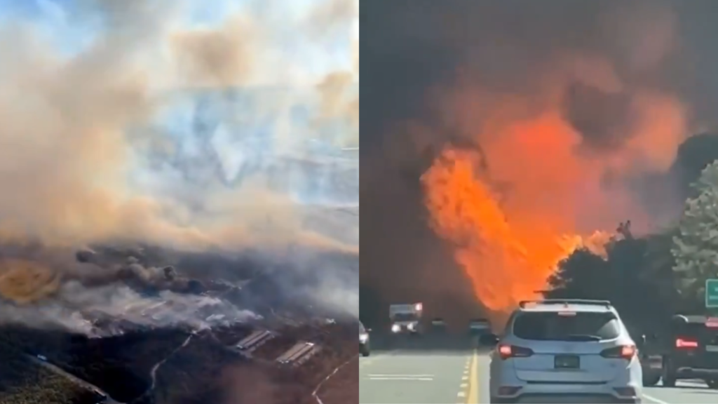 Brush fires erupt on Long Island, sparking ‘large-scale’ response ...