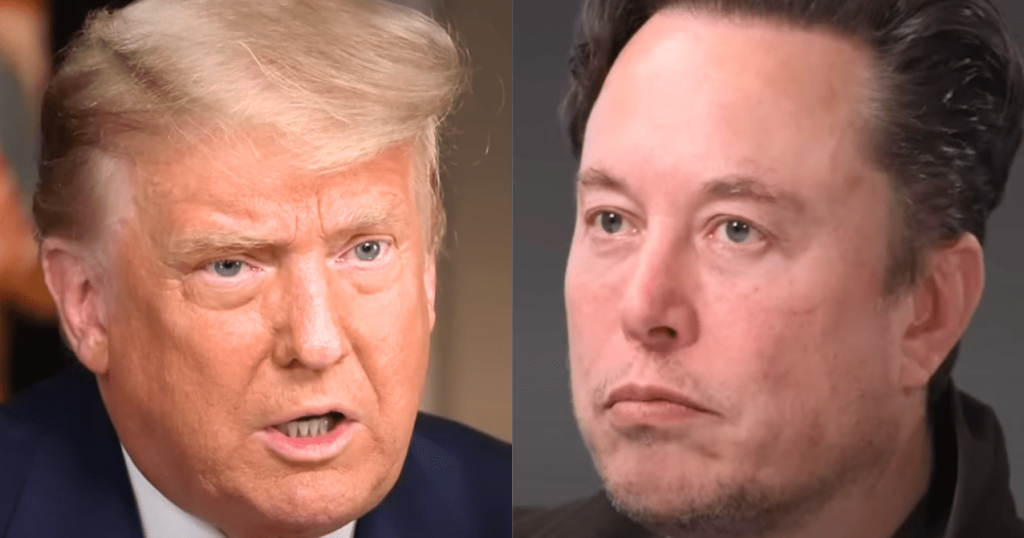 Musk Offers Trump Olive Branch as Ruined Relationship Rips MAGA Apart - Newswize
